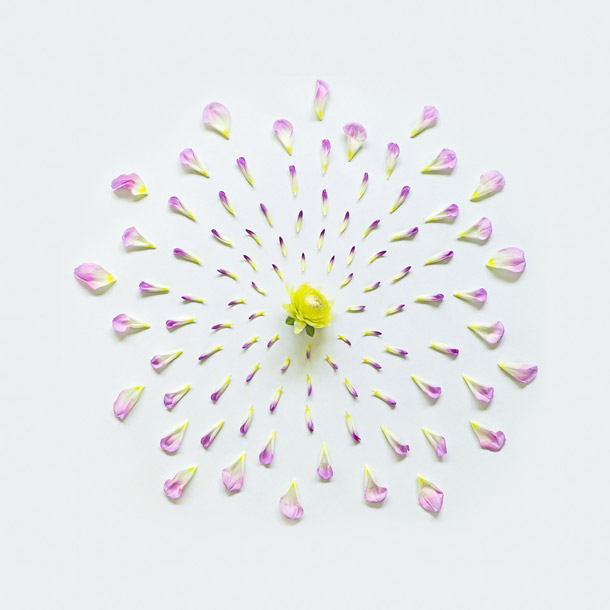 Exploded Flowers By Fong Qi Wei | Modernism