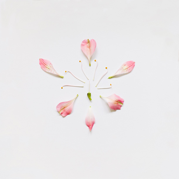 Exploded Flowers By Fong Qi Wei | Modernism