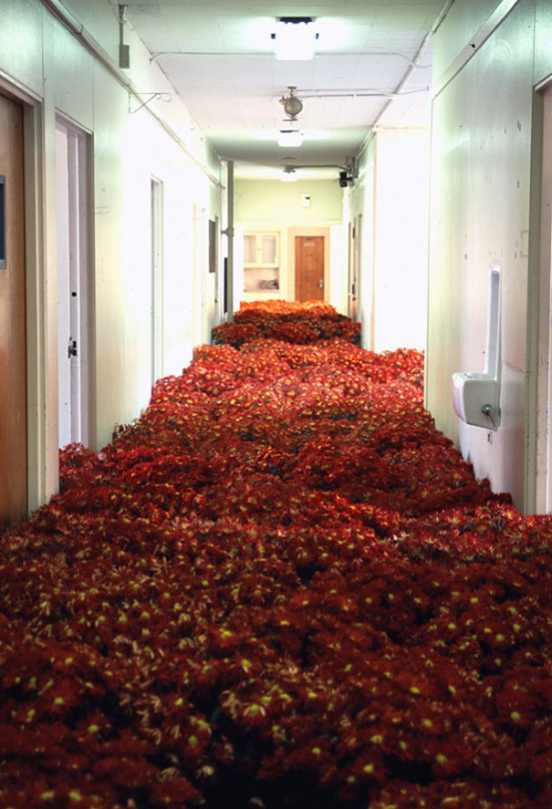 Bloom: 28,000 Flowers Installed At The Abandoned Mental Institution ...