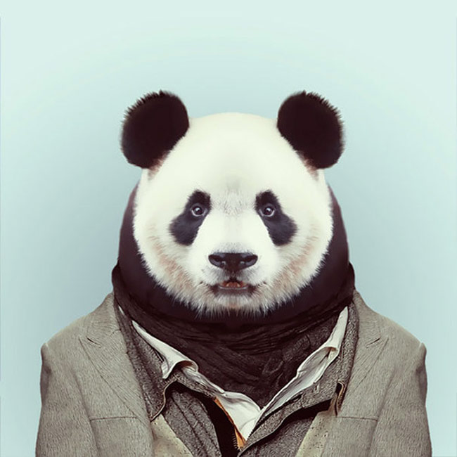 Hilarious Zoo Portraits by Yago Partal | Modernism