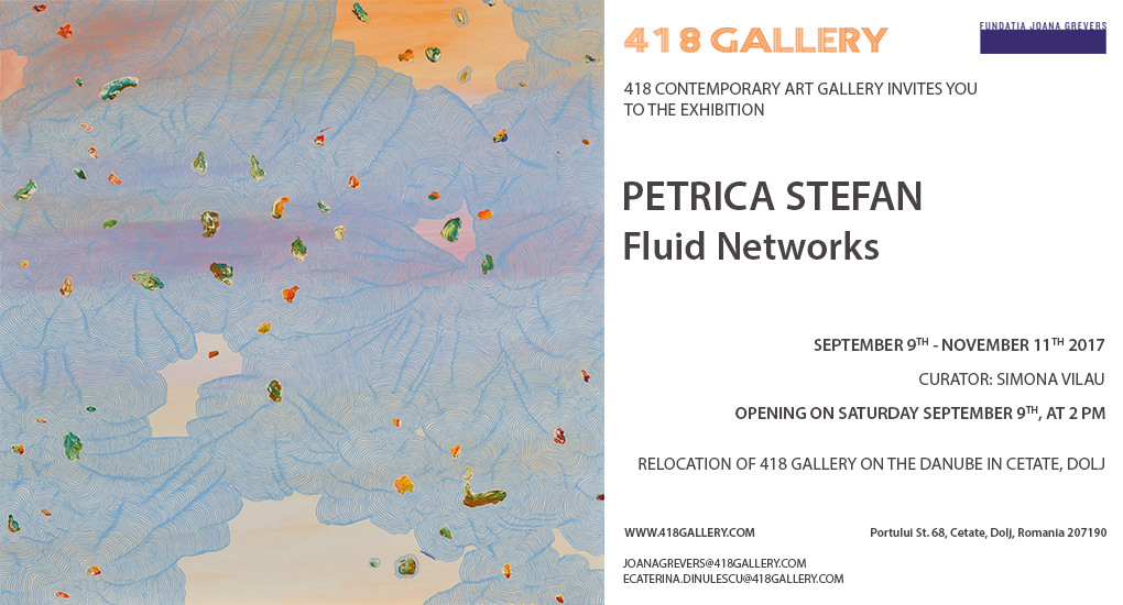 Petrică Ştefan „Fluid Networks” @ 418 GALLERY | Modernism