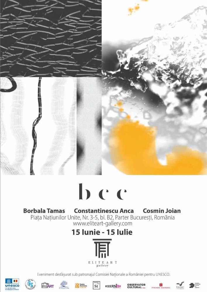 „BCC” BORBALA TAMAS, CONSTANTINESCU ANCA, COSMIN JOIAN @ Elite Art ...