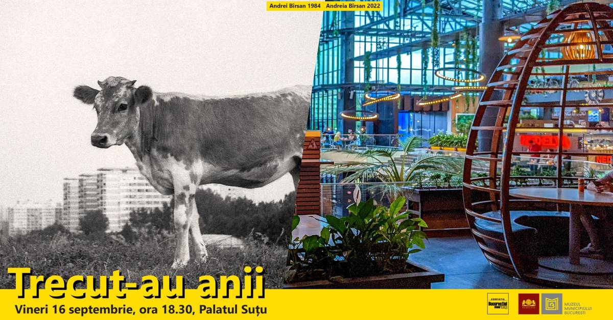 Expoziție Foto „Trecut-au anii 2022” @ Muzeul Municipiului București ...