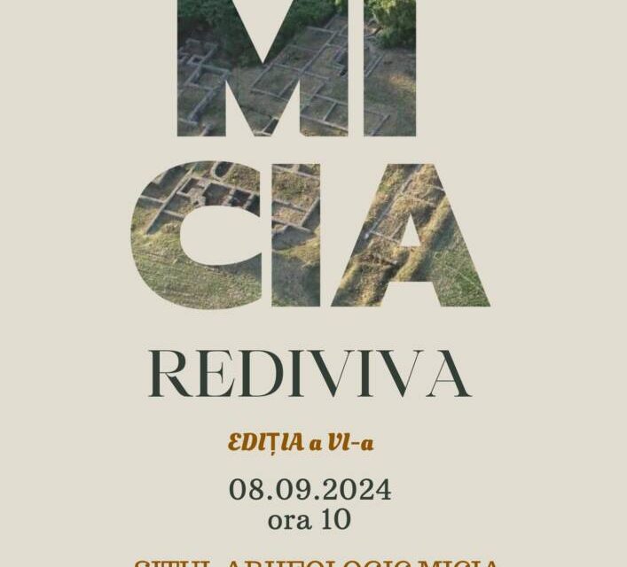 Festivalul de reconstituire istorică și educație pentru patrimoniu ...