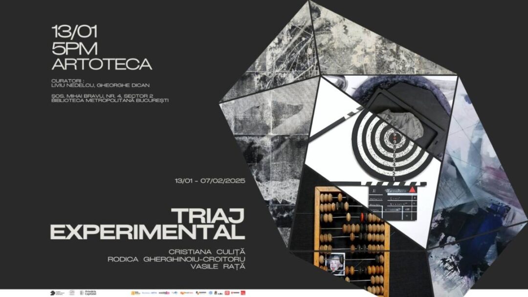 Expoziție „Triaj experimental”: Cristiana-Ștefania Culiță, Rodica ...
