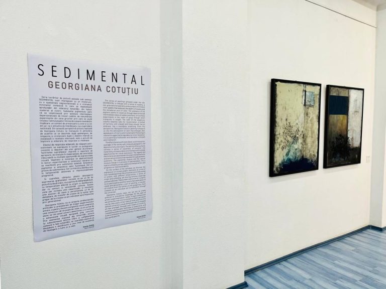 Expoziție personală Georgiana Cotuțiu „Sedimental” @ Complexul Muzeal ...